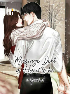 Marriage Debt is Hard to be repaid Novel Full Story | Book - BabelNovel