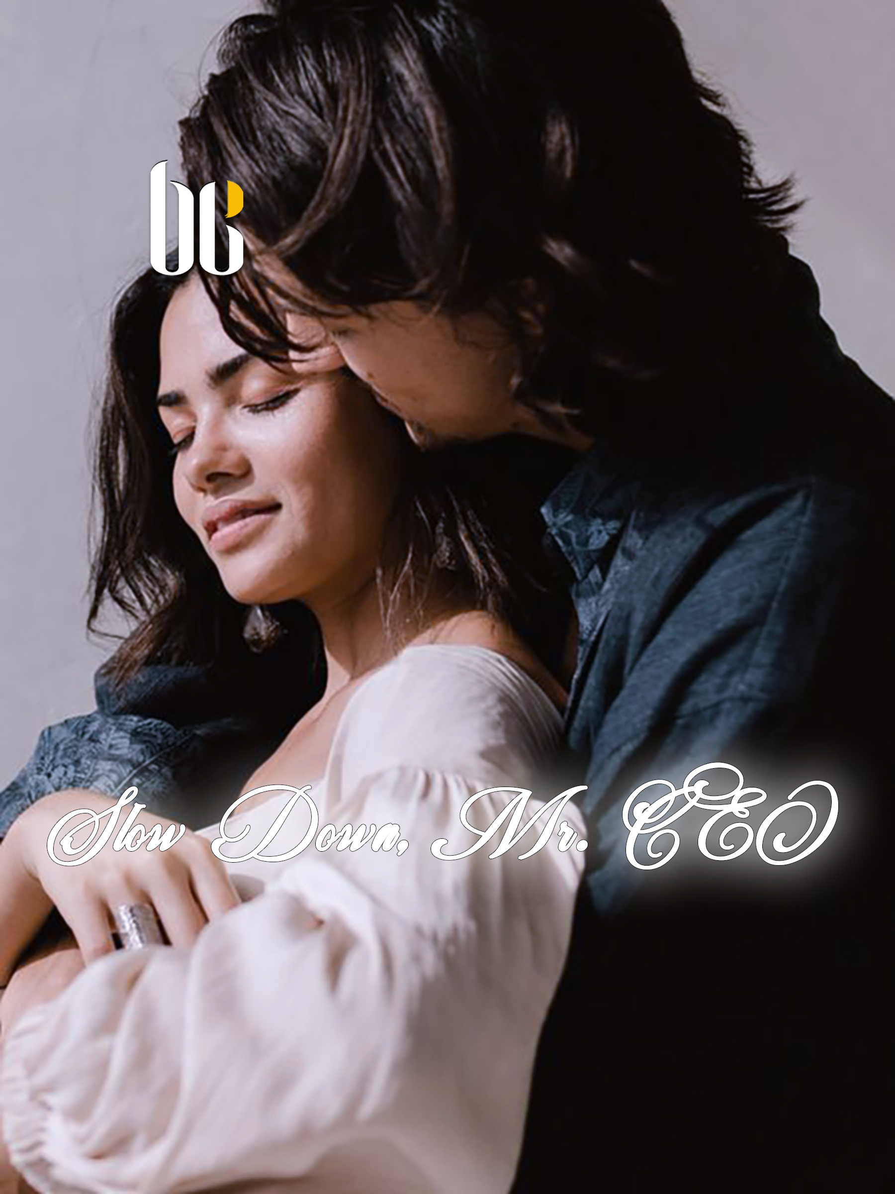 Slow Down, Mr. CEO Novel Full Story | Book - BabelNovel